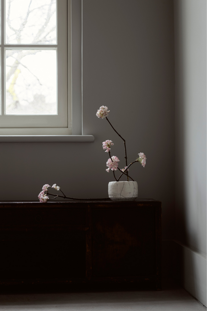 Ceramics – FLOW GALLERY