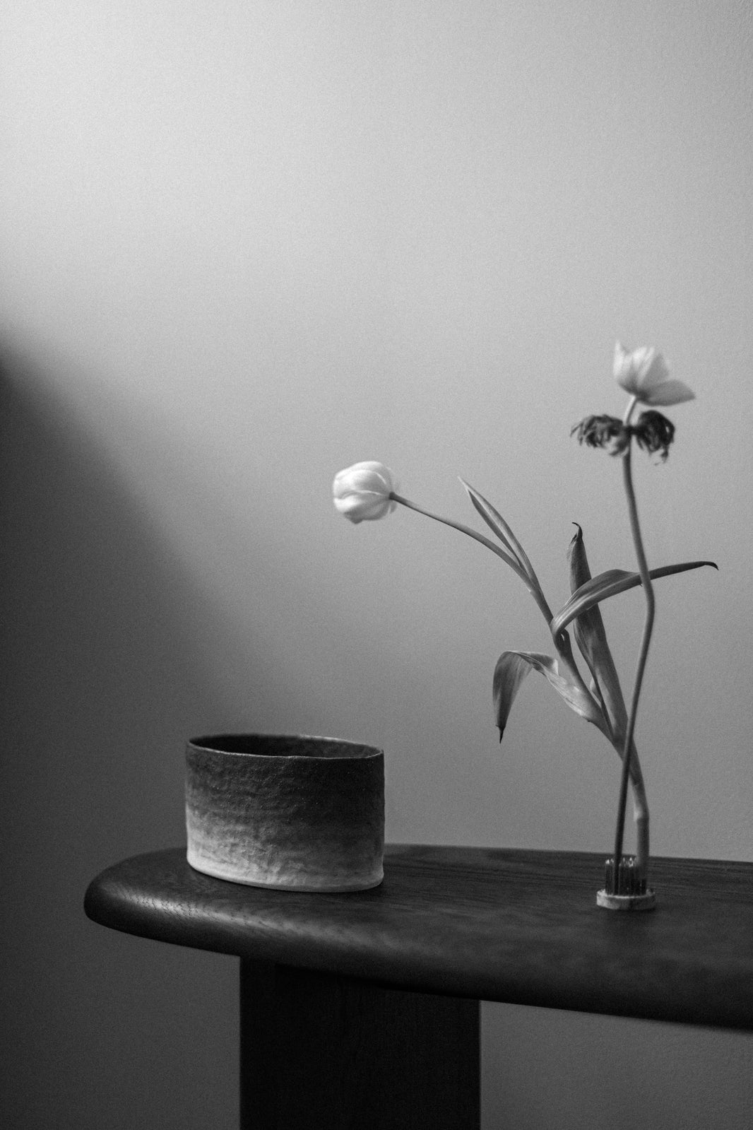 Oval Series IV by ShinHyeok Ha – FLOW GALLERY